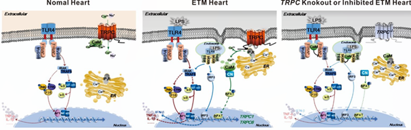 西北农林科技大学“双一流”建设办公室